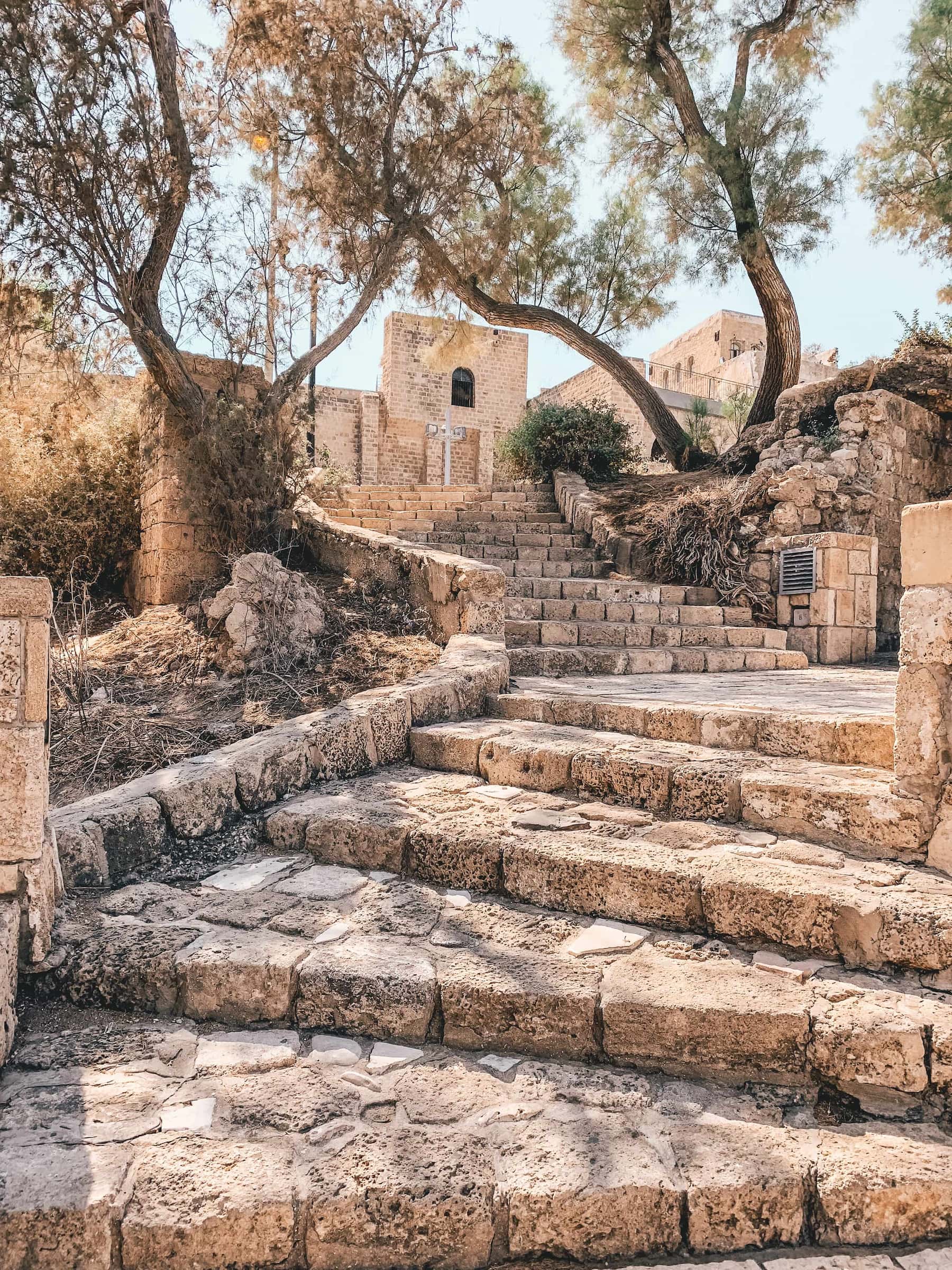 What is a Messianic Believer? | Advancing Native Missions